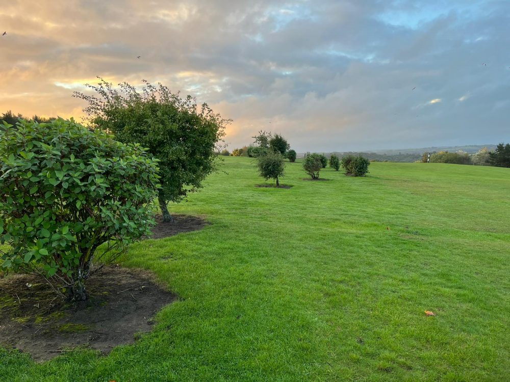 Golf – Roseberry Grange Golf Club