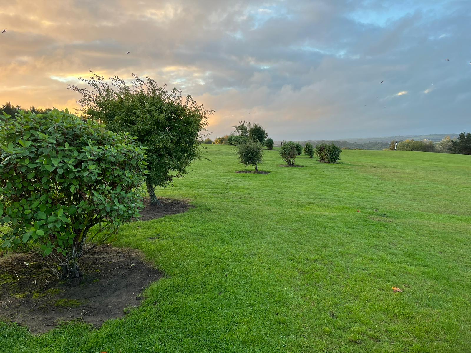 Golf – Roseberry Grange Golf Club
